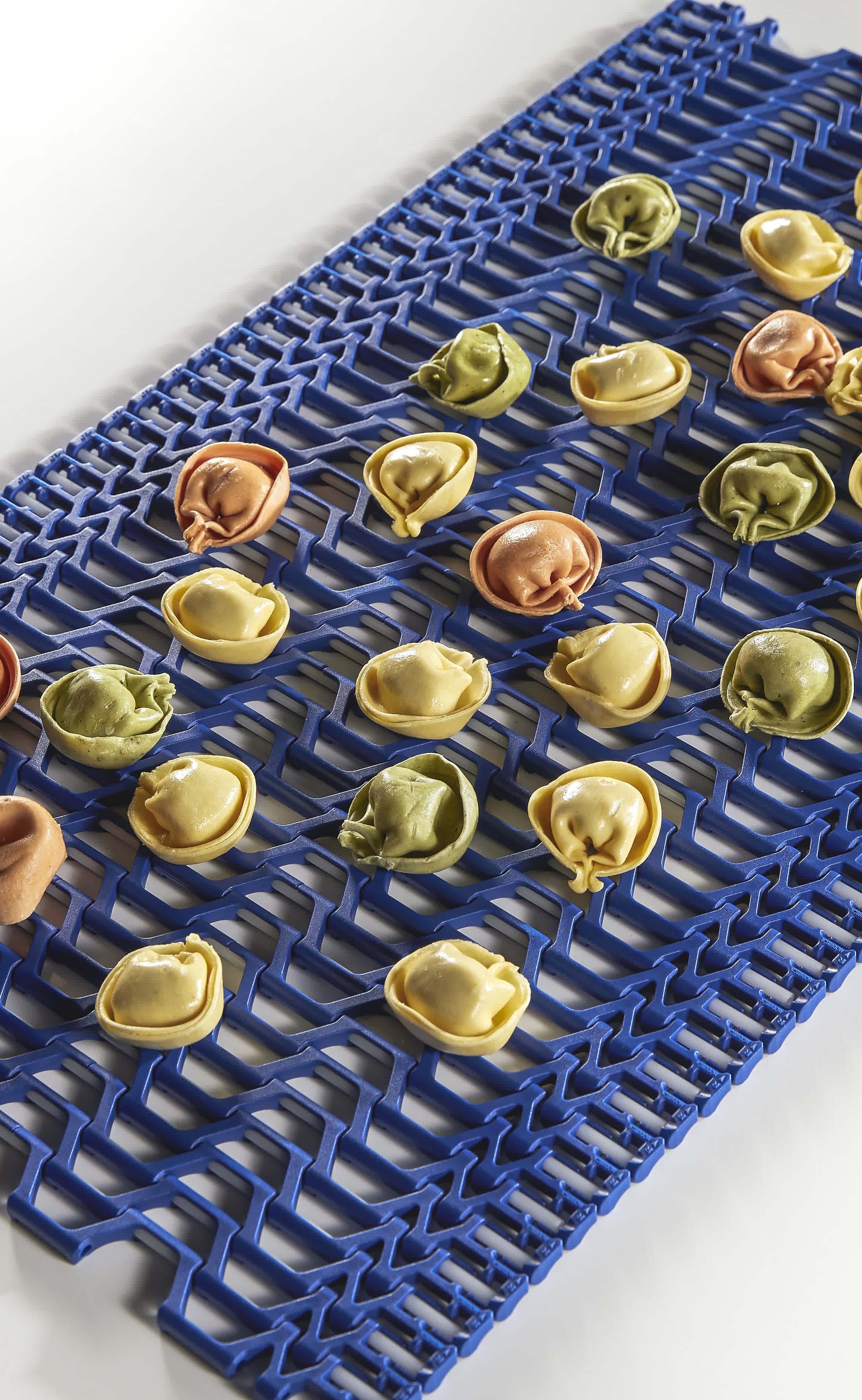 Modular Belts - Modutech